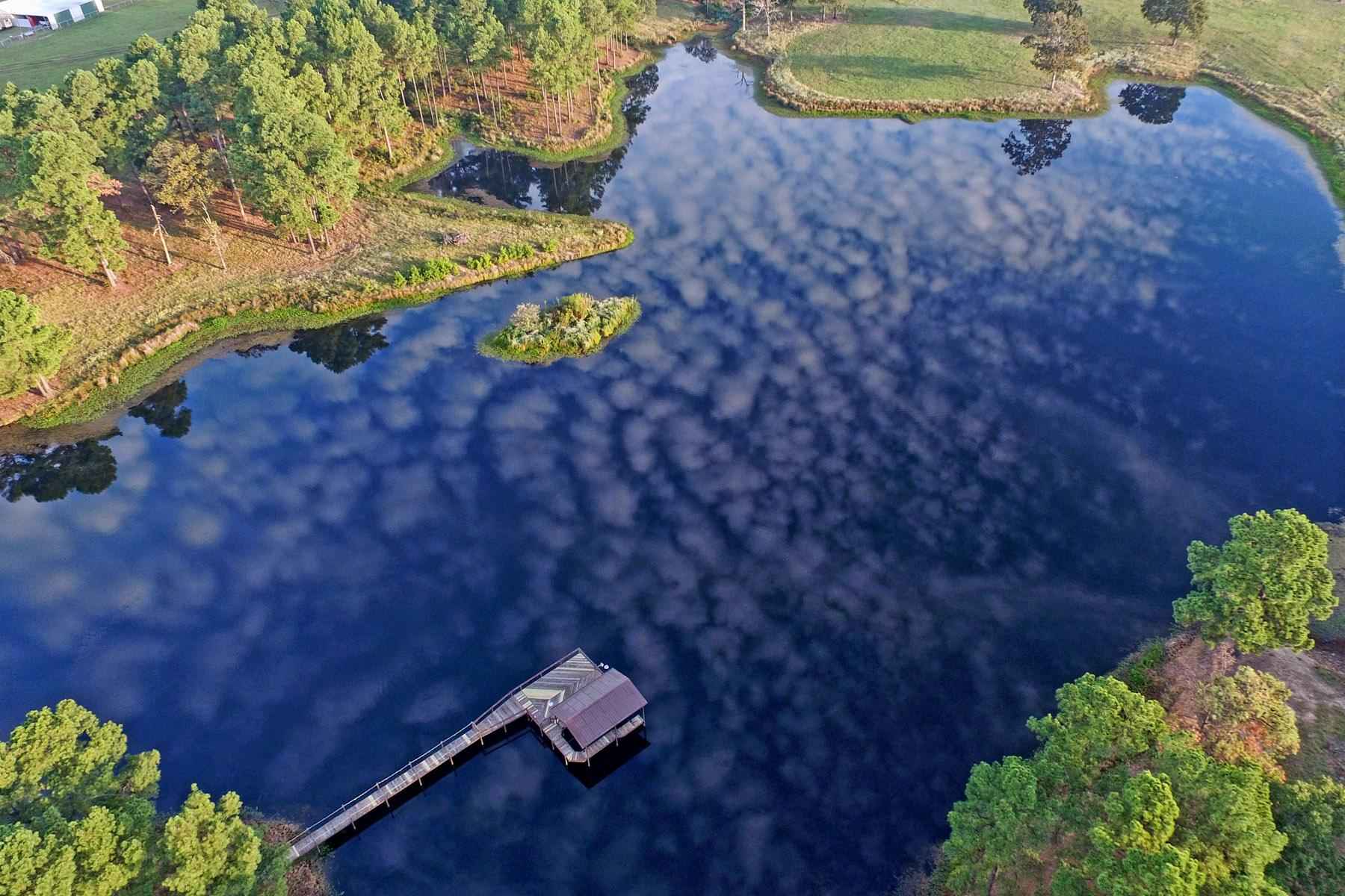 200 Acre Ranch - Century 21 Harvey Properties