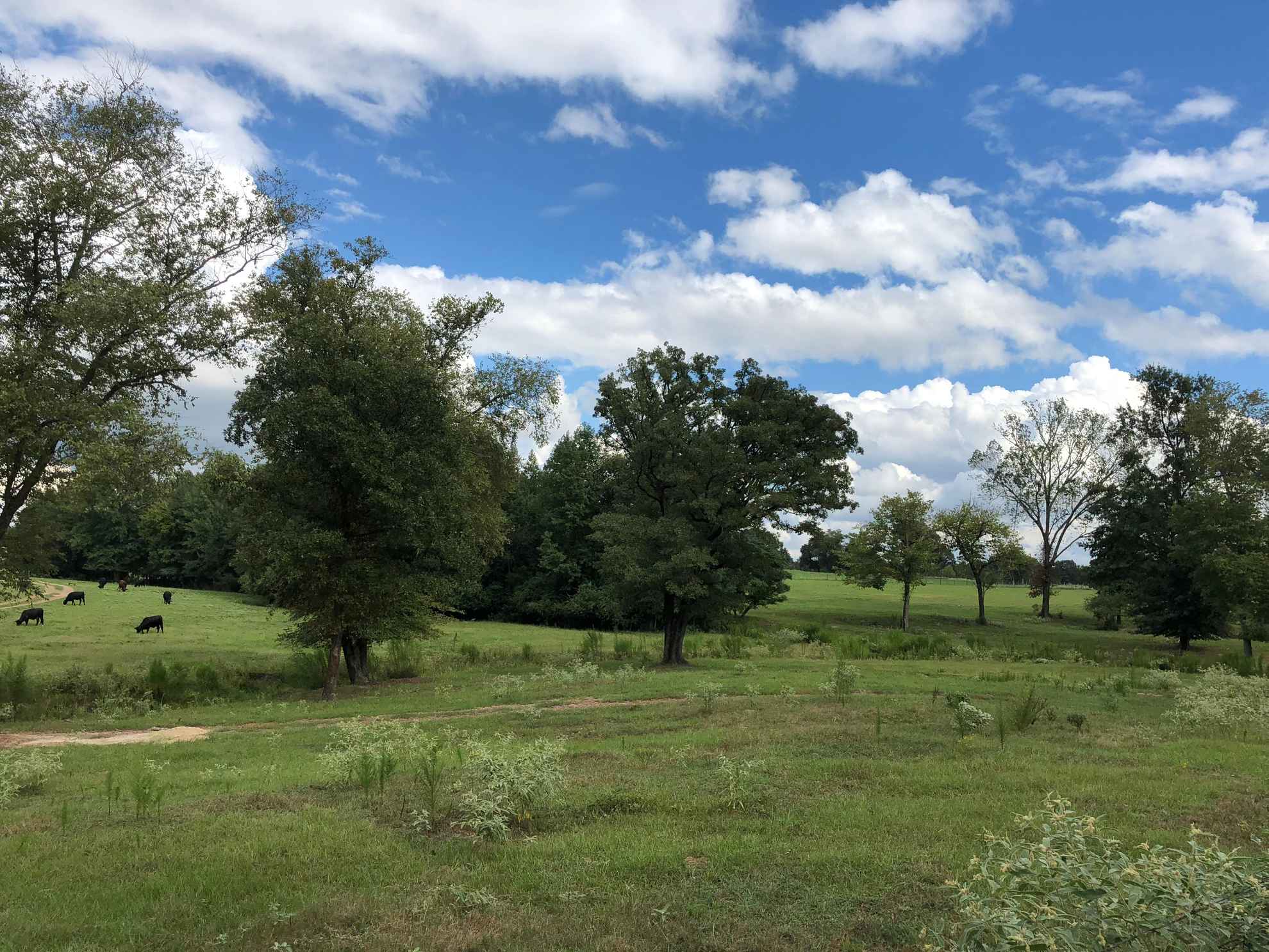 Shirley Ranch - Century 21 Harvey Properties