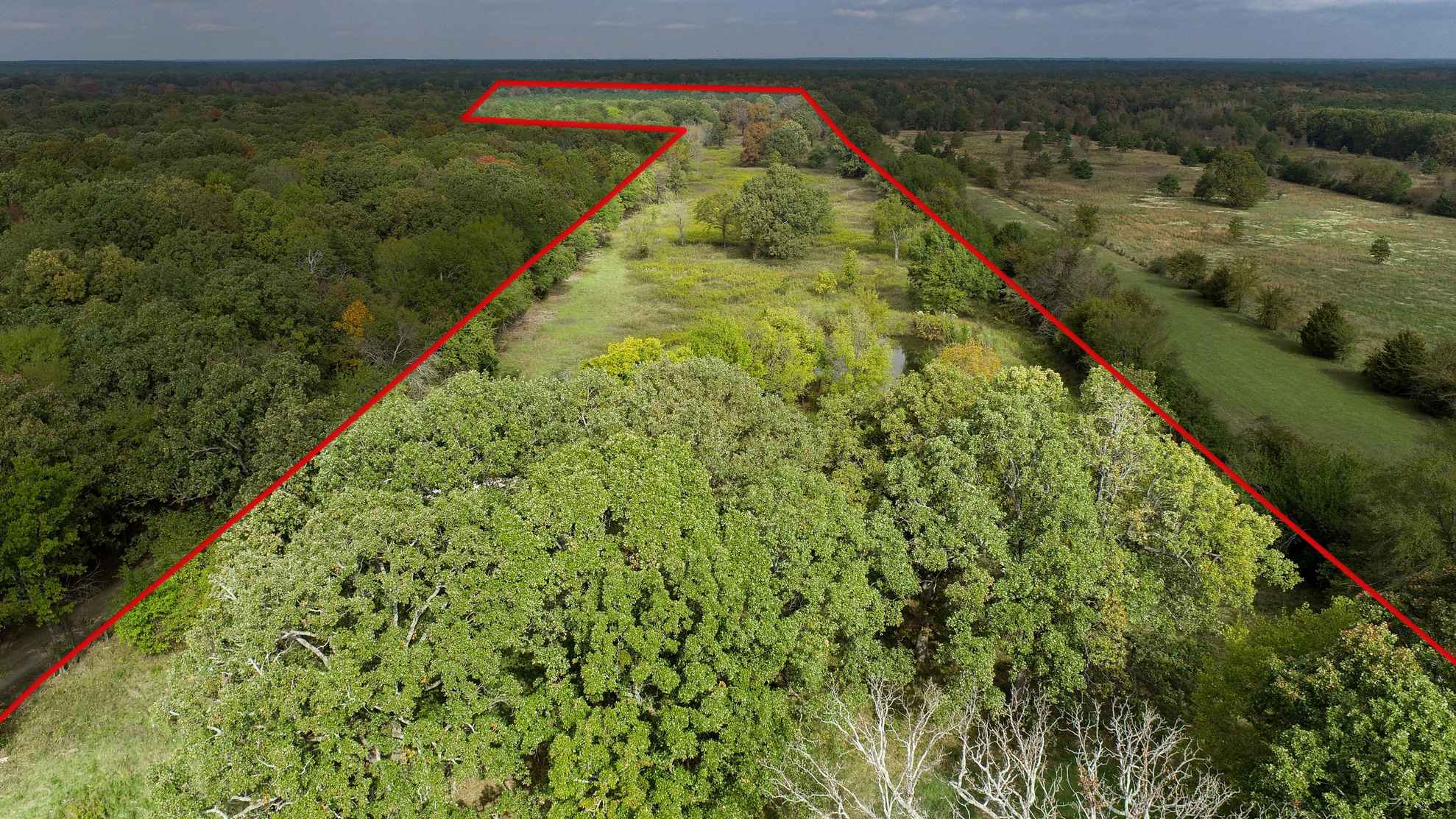 46 Acres & Mature Trees - Century 21 Harvey Properties
